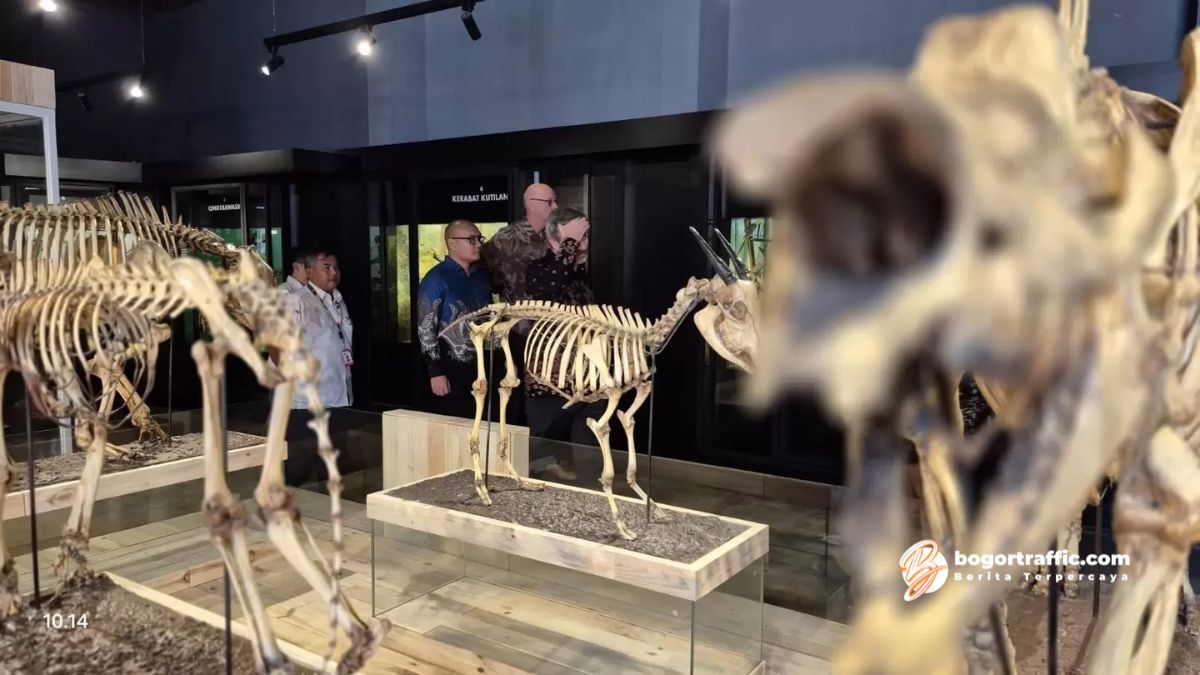 Museum Zoologi Bogor Tampil Baru, Ramai Dikunjungi Pelajar dan Gen Z